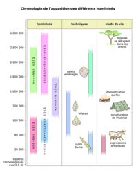 La Place De L Homme Dans L évolution Réviser Le Cours Sciences