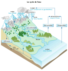 Une ressource naturelle indispensable : l'eau - Réviser le cours ...