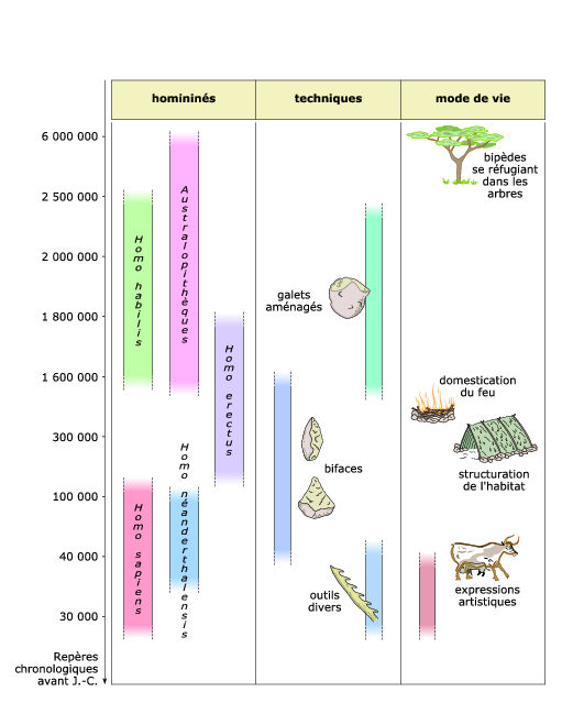 Image 1_w203i03 - Chronologie de l'apparition des différents homininés ...