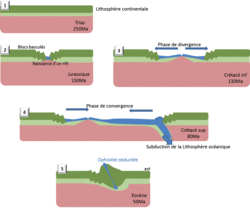 La convergence lithosphérique : contexte de la formation des chaînes de ...