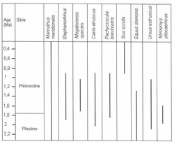 Datation de fossiles humains - Travailler sur des sujets du bac - SVT ...