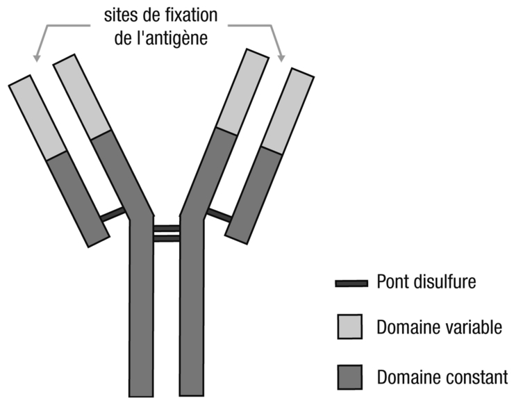 Image t_trde17ci01 - La séropositivité - Travailler sur des sujets du ...