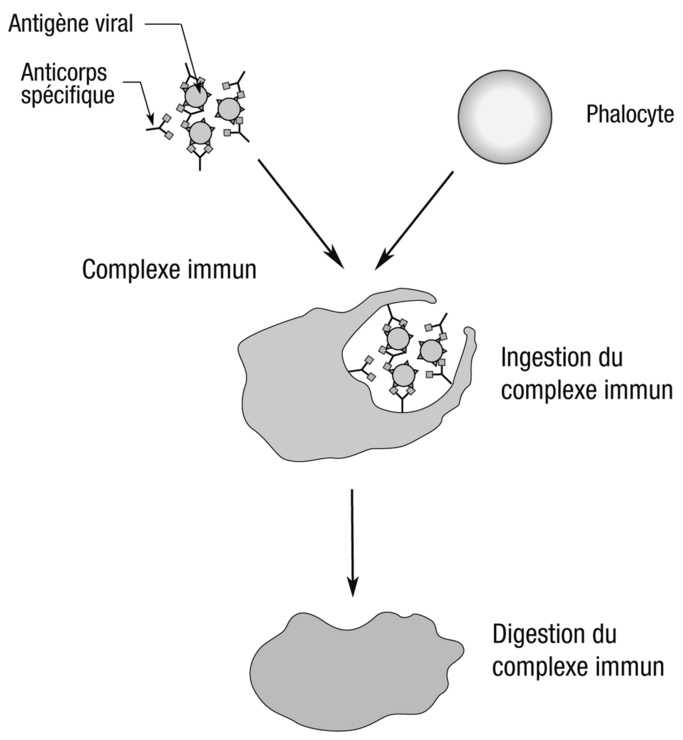 Image t_trde17ci03 - La séropositivité - Travailler sur des sujets du ...