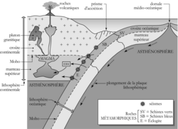 Les caractéristiques des zones de subduction - Travailler sur des ...