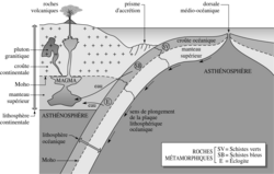 Le fonctionnement d'une zone de subduction - Travailler sur des sujets ...