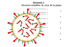 La grippe (sujet inédit) - Assistance scolaire personnalisée et ...